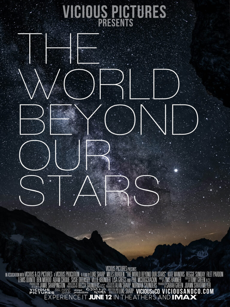 MOVIE POSTER DESIGN FOR YOUR FILM — Vicious & Co